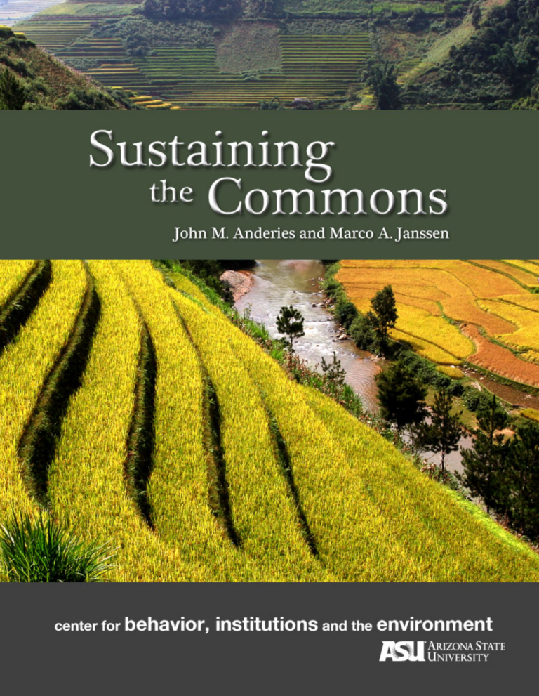 Open Textbooks for Social Work Education – Open Social Work